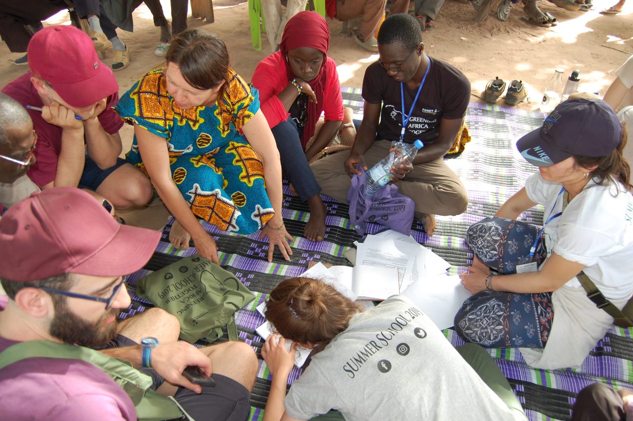 Global Climate and SDG Engagement | greeningafricatogether